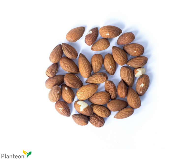 Migdały - właściwości i zastosowanie | blog.planteon.pl