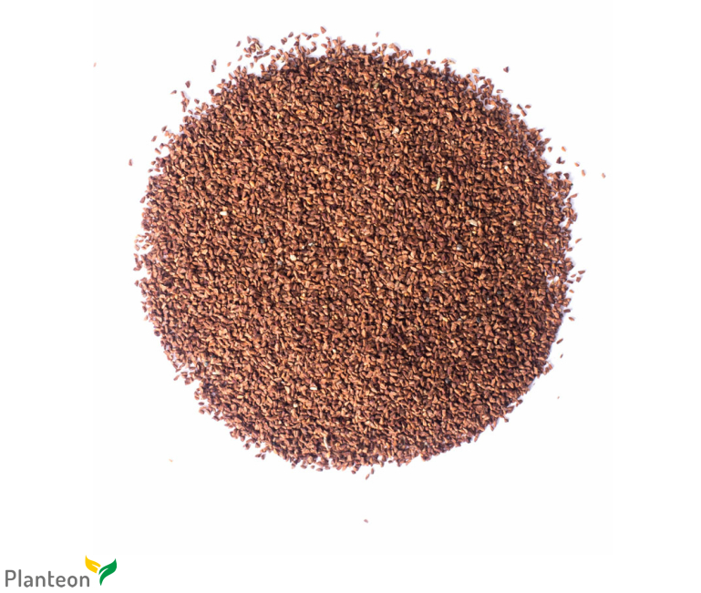 Wiesiołek - właściwości i zastosowanie | blog.planteon.pl