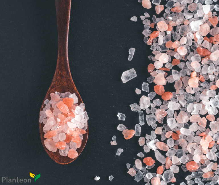 Jakie rodzaje soli znasz? Sprawdź 8 z nich i wybierz swoją ulubioną!