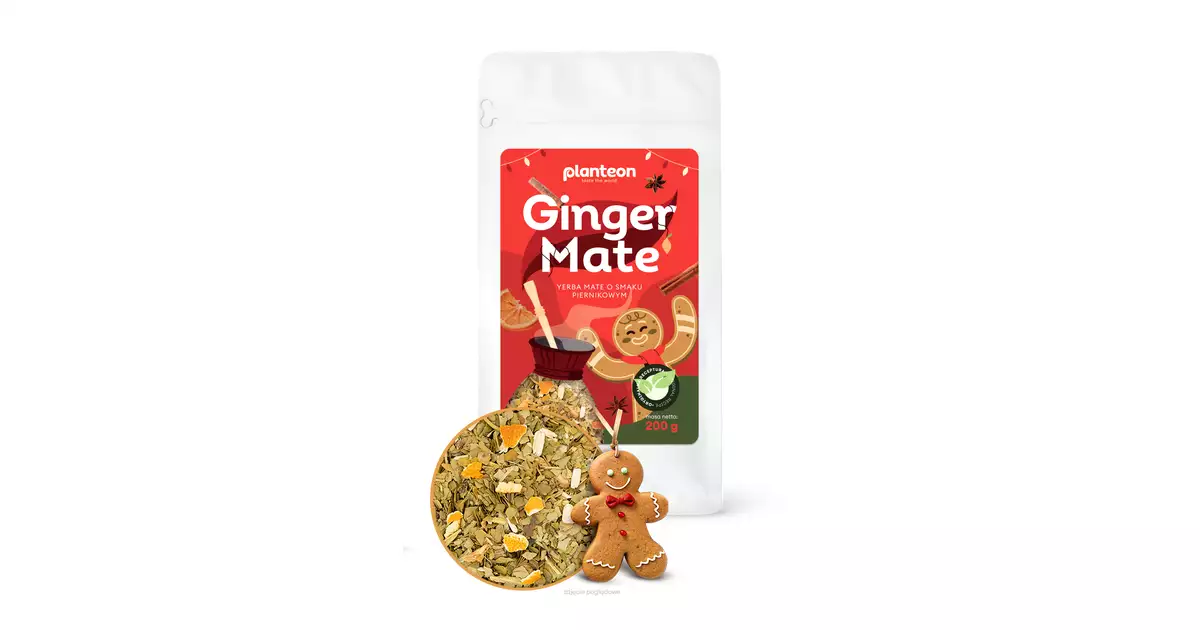 Yerba Mate 'Ginger Mate' - Planteon